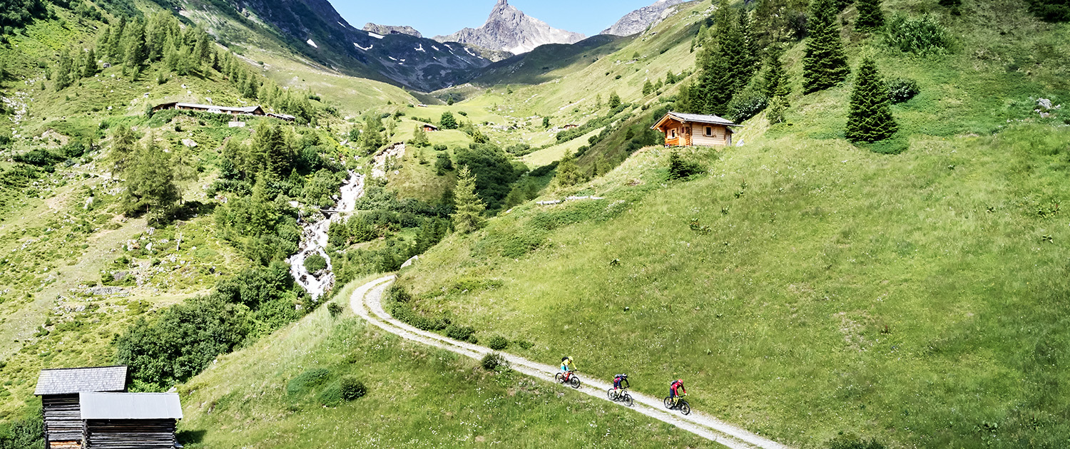 Region – Apart Ladner Julia